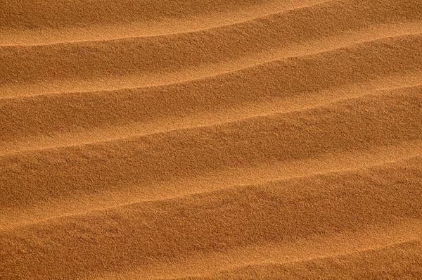 Archives: Sand Business - The Ramp Rules